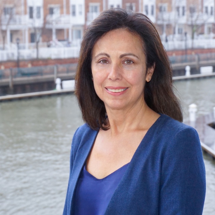 Panepinto Development | About