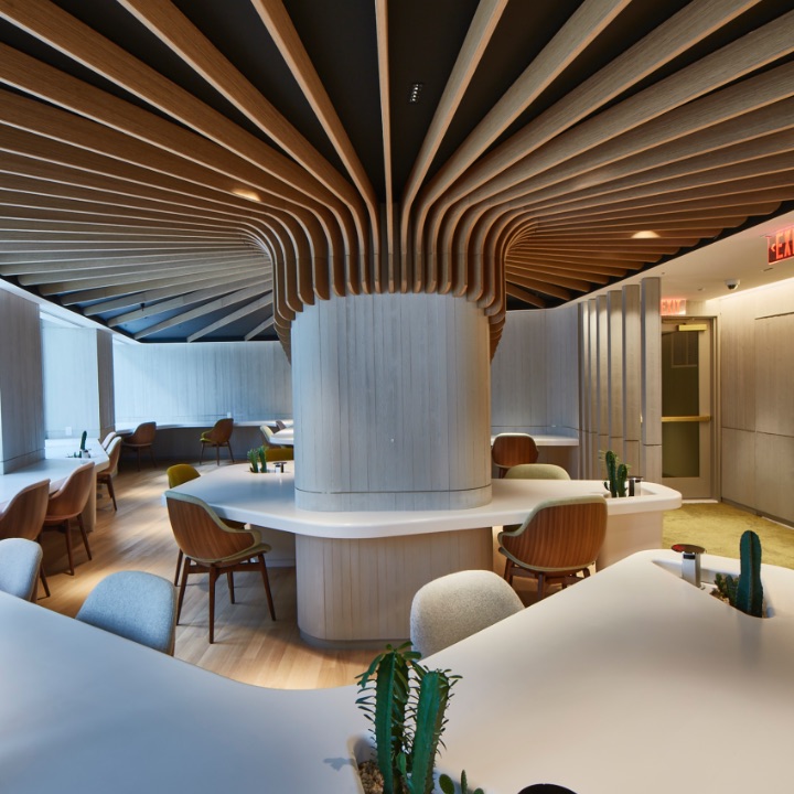 Panepinto Development | About